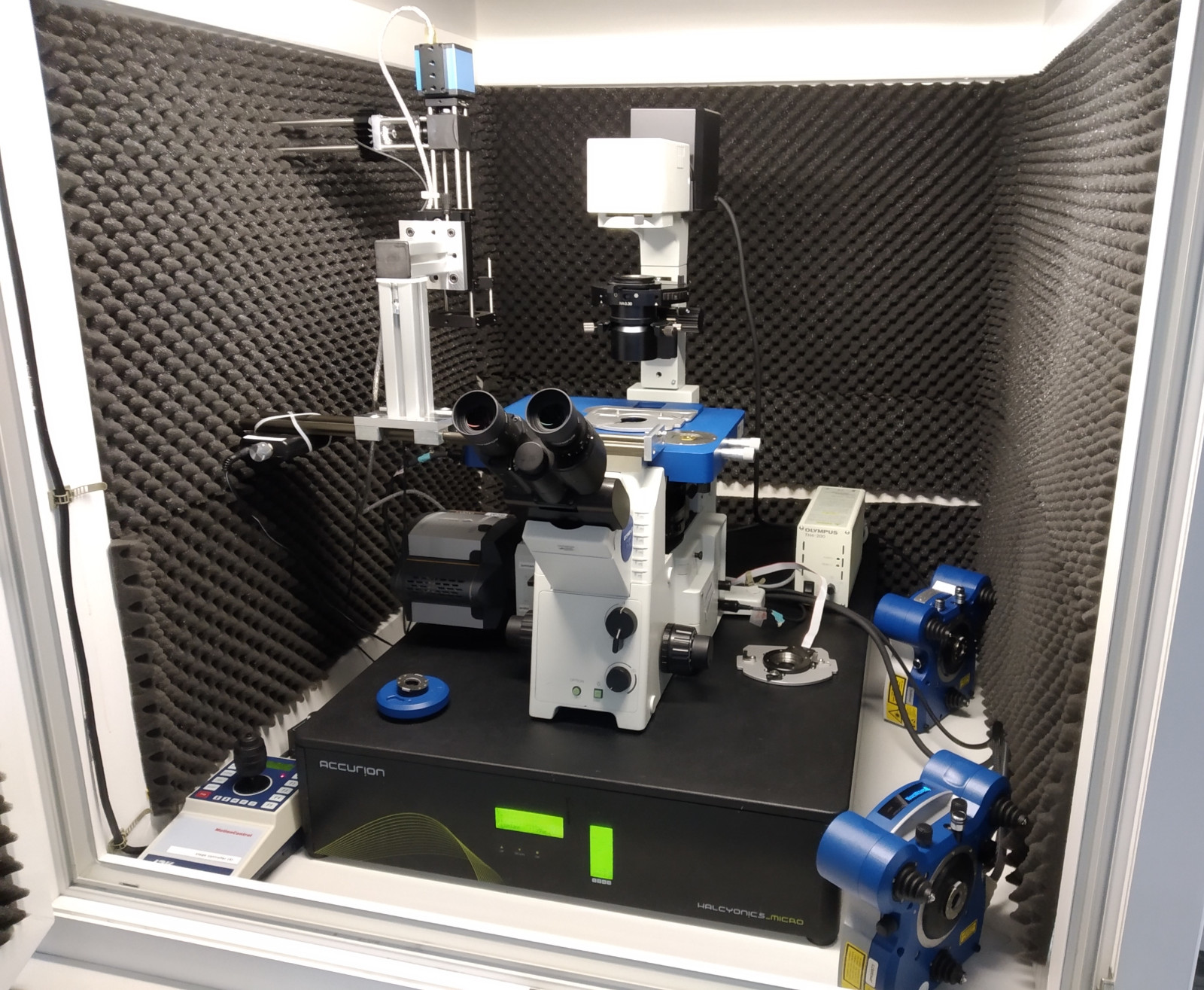 JPK Atomic Force Microscope – Imaging & Optics Facility